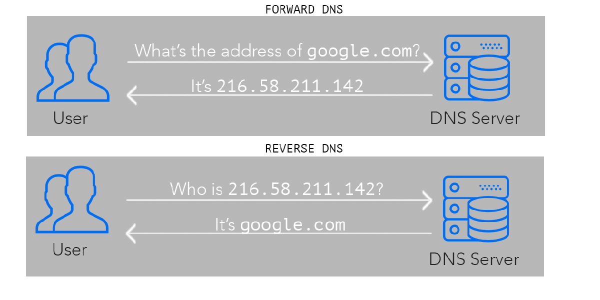 What is Reverse DNS? - Progist Knowlegde Base